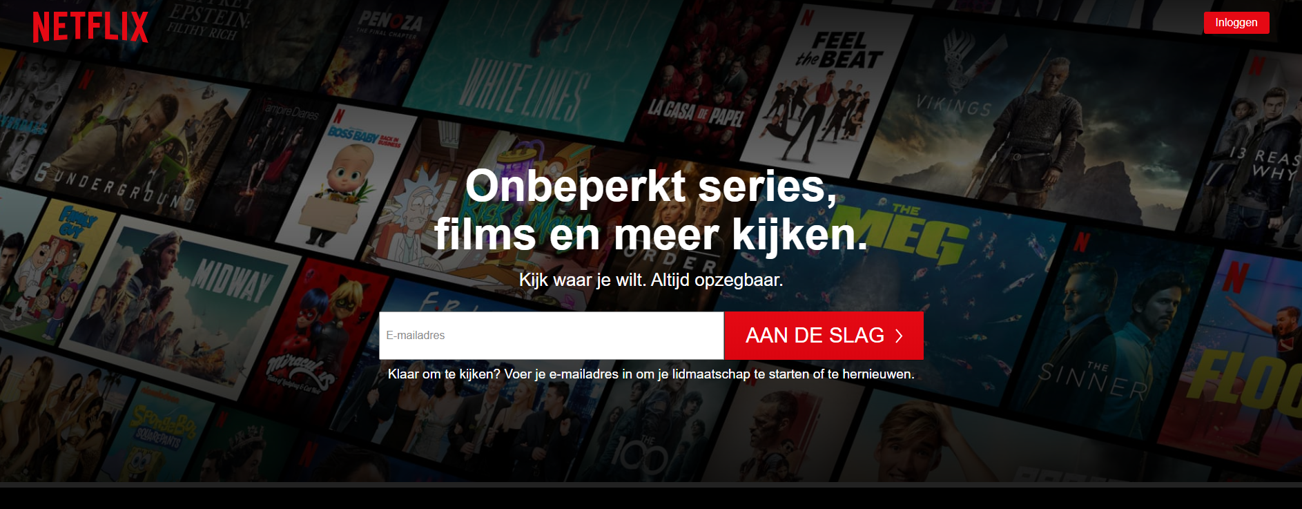 Succesvolle landingspagina’s | Ontwerp & Opbouw – Fris Online